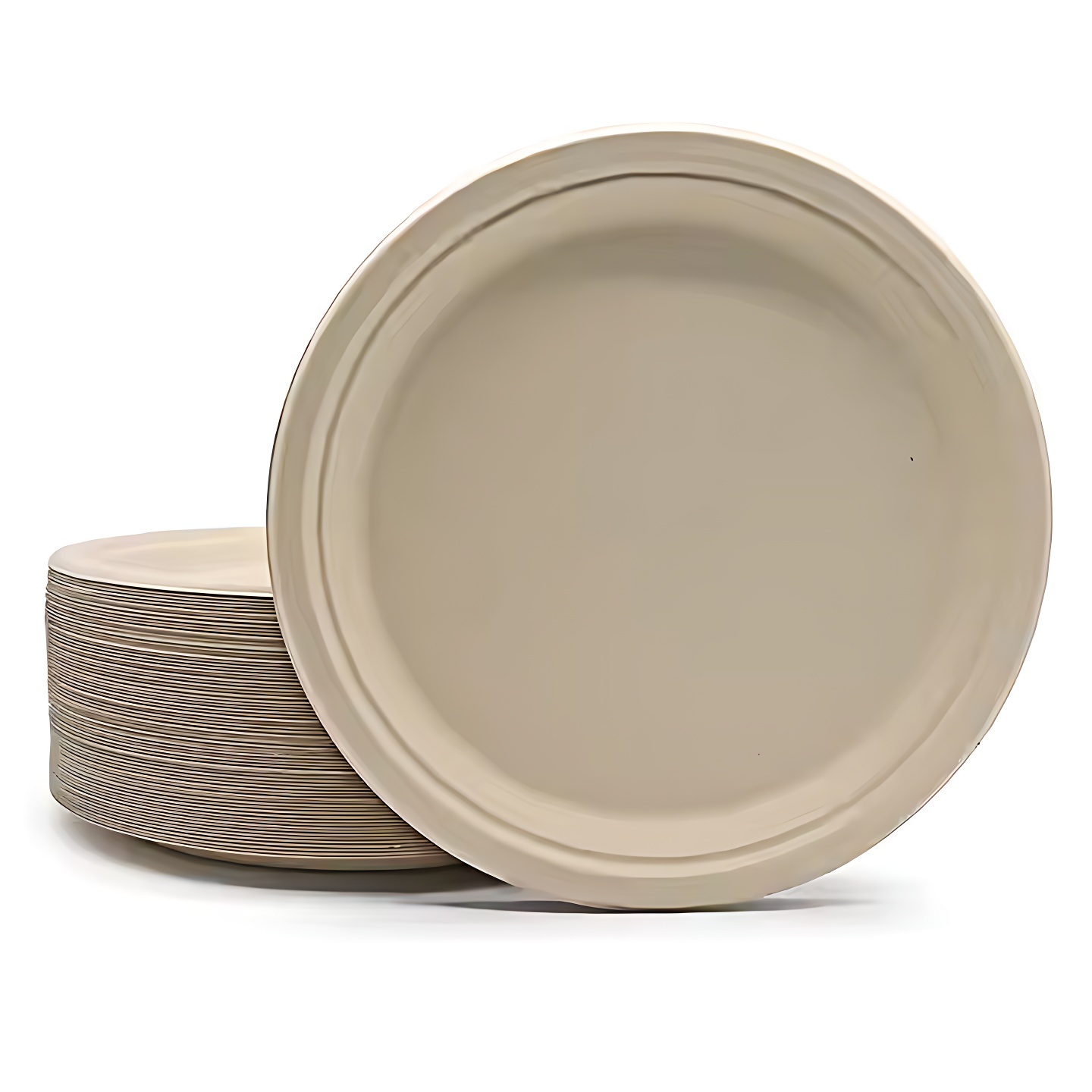9" Biodegradable & Compostable Sugarcane Bagasse Disposable Wedding ...